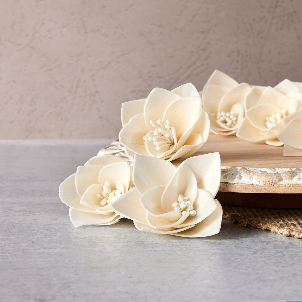 Estelle- sola wood flower - sets of 12 – Wholesale Oh You're Lovely