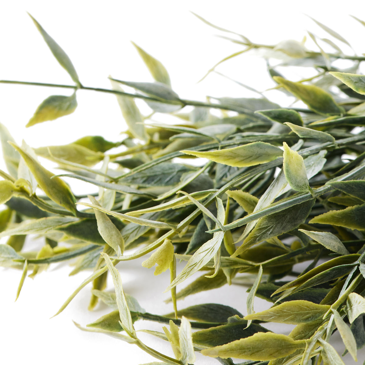 Italian Ruscus Artificial Greenery 14” Stem | Matte Plastic – Wholesale ...