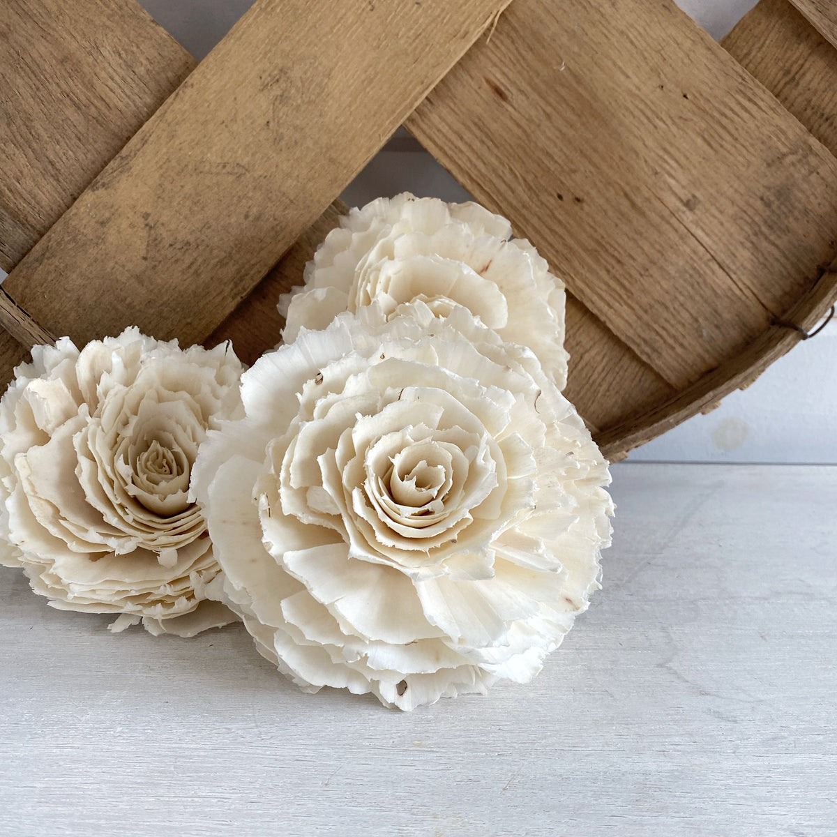 Extra Large Sola Wood Flower Shabby Rose – Wholesale Oh You're Lovely