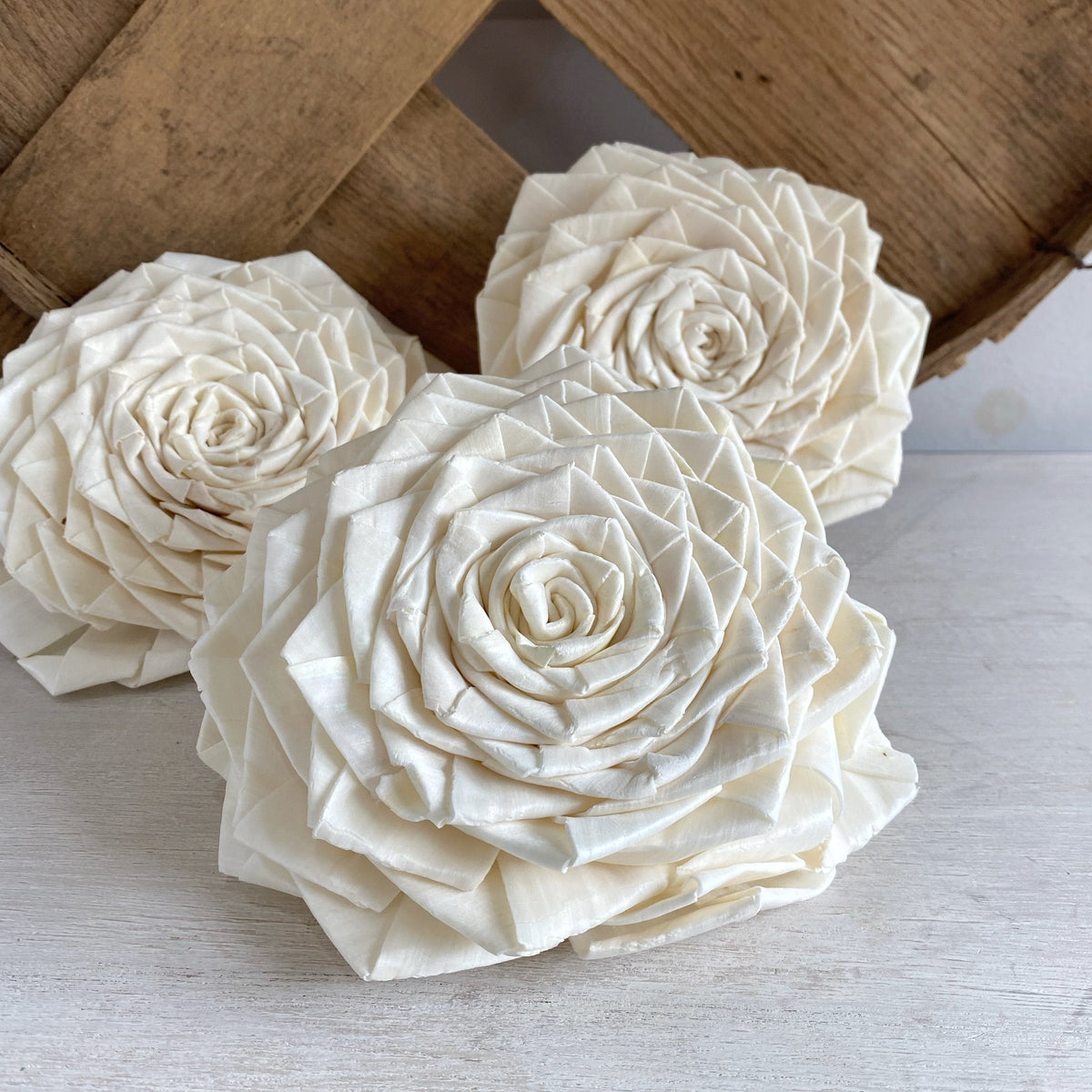 Extra Large Sola Wood Flower Rose – Wholesale Oh You're Lovely